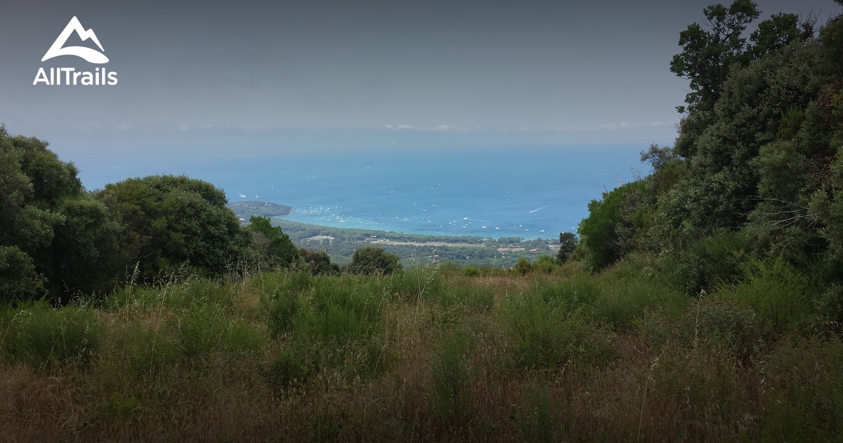 Best hikes and trails in Punta Ala | AllTrails