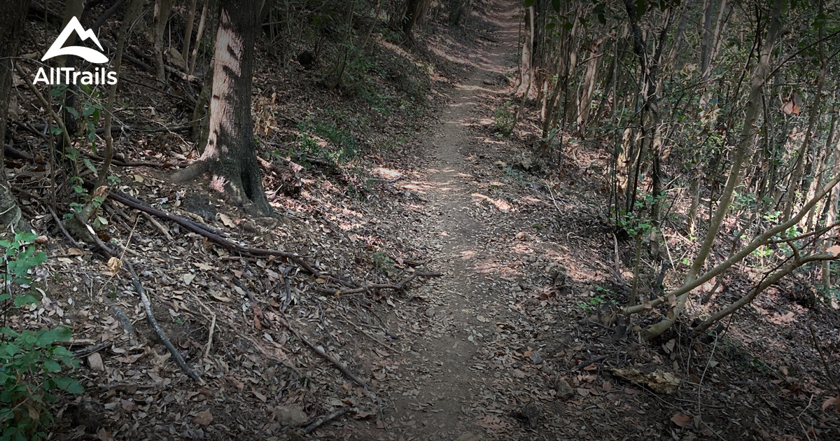 Best forest trails in Rio | AllTrails