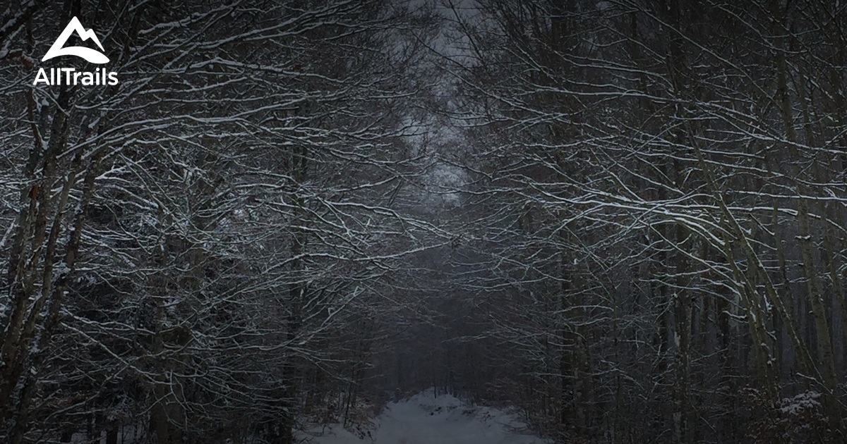 Best hikes and trails in Subbiano | AllTrails