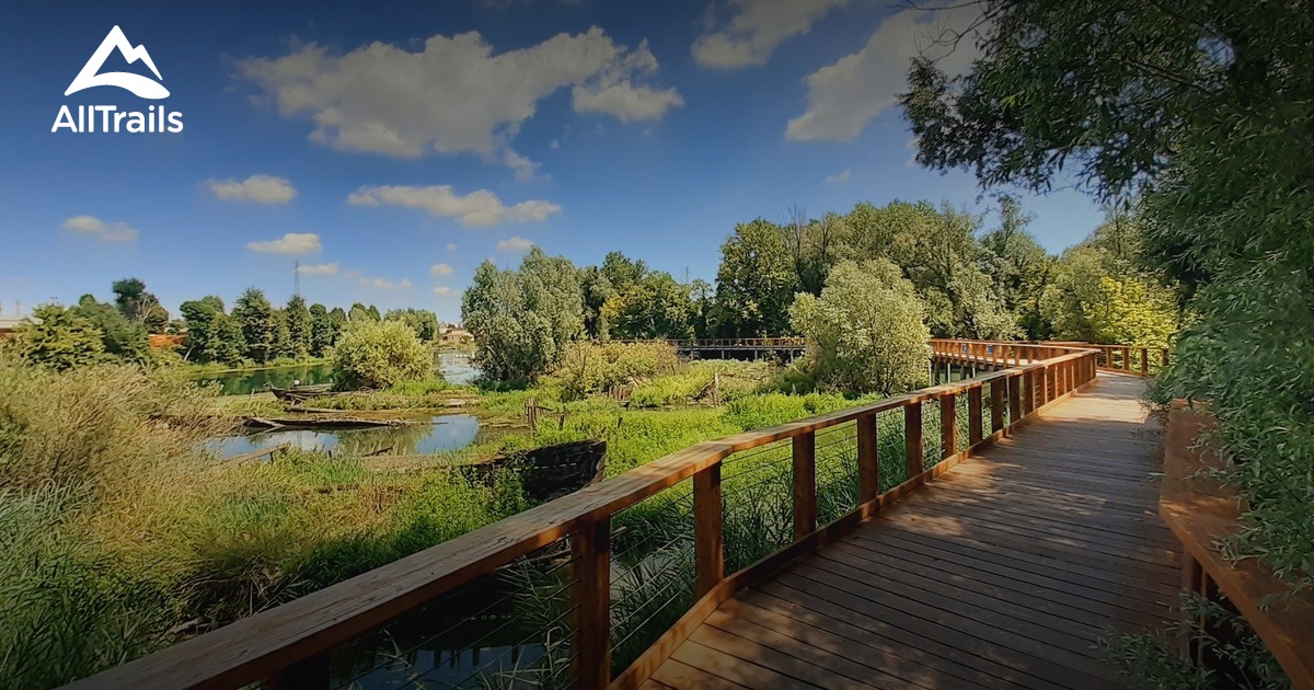 Best Hikes and Trails in Casale sul Sile | AllTrails