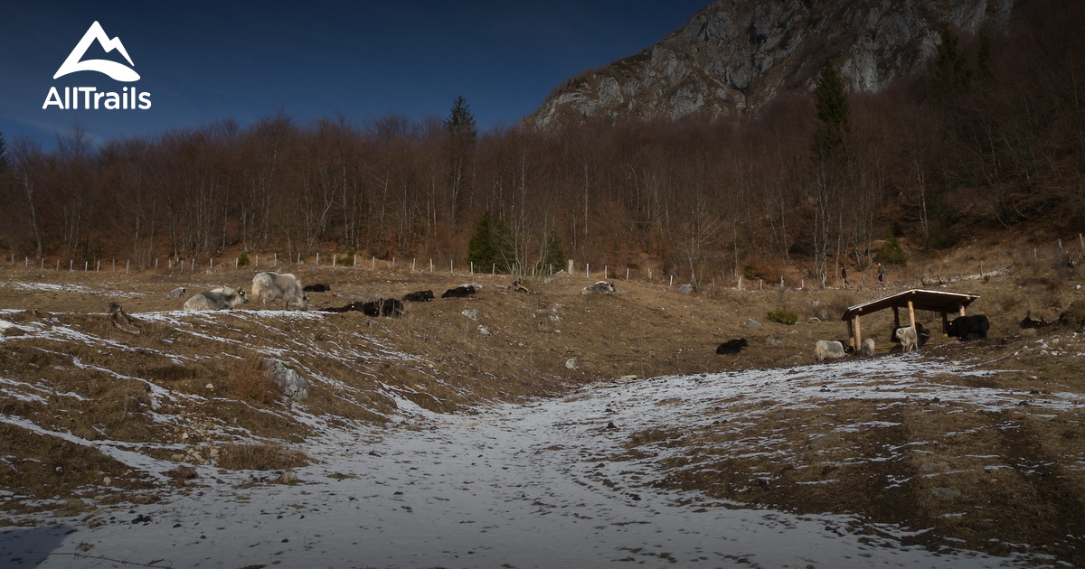 I migliori sentieri moderati in Chies d'Alpago | AllTrails