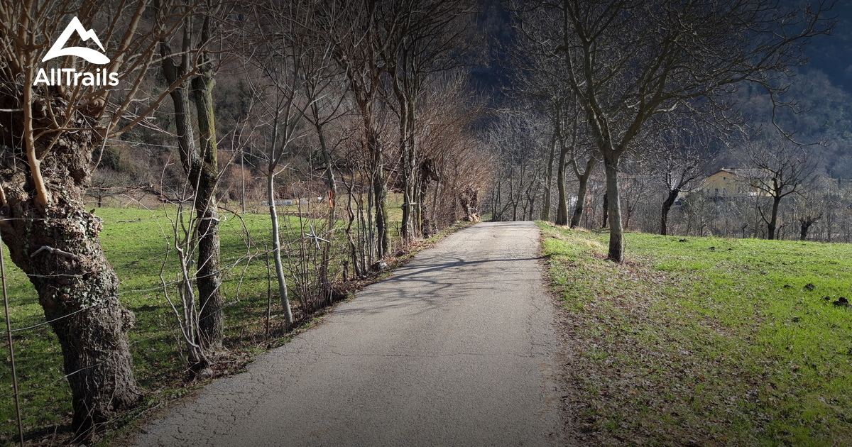 Best forest trails in Cornedo Vicentino | AllTrails