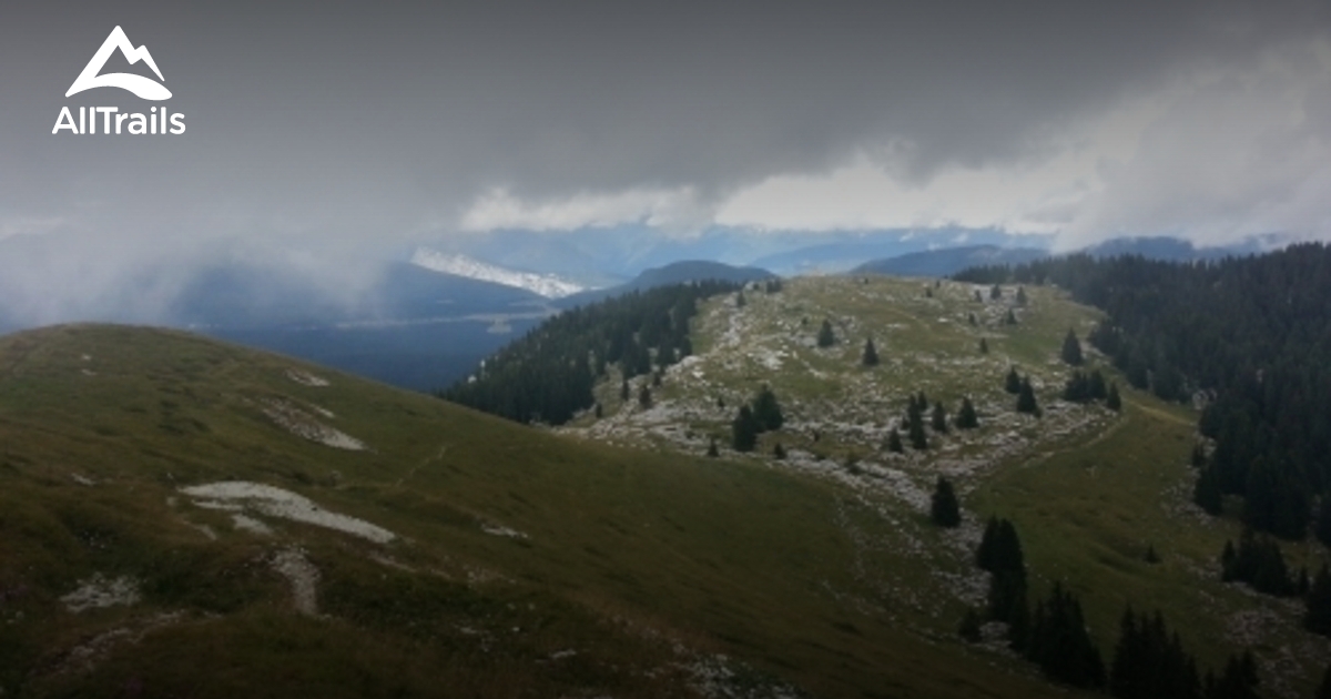 Best hikes and trails in Foza | AllTrails