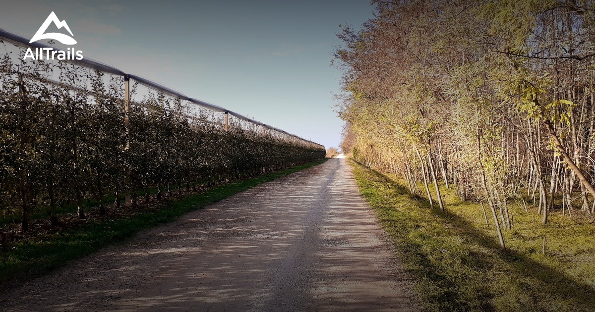 Best partially-paved trails in Lonigo | AllTrails