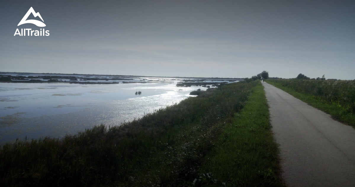 Best moderate trails in Musile di Piave | AllTrails