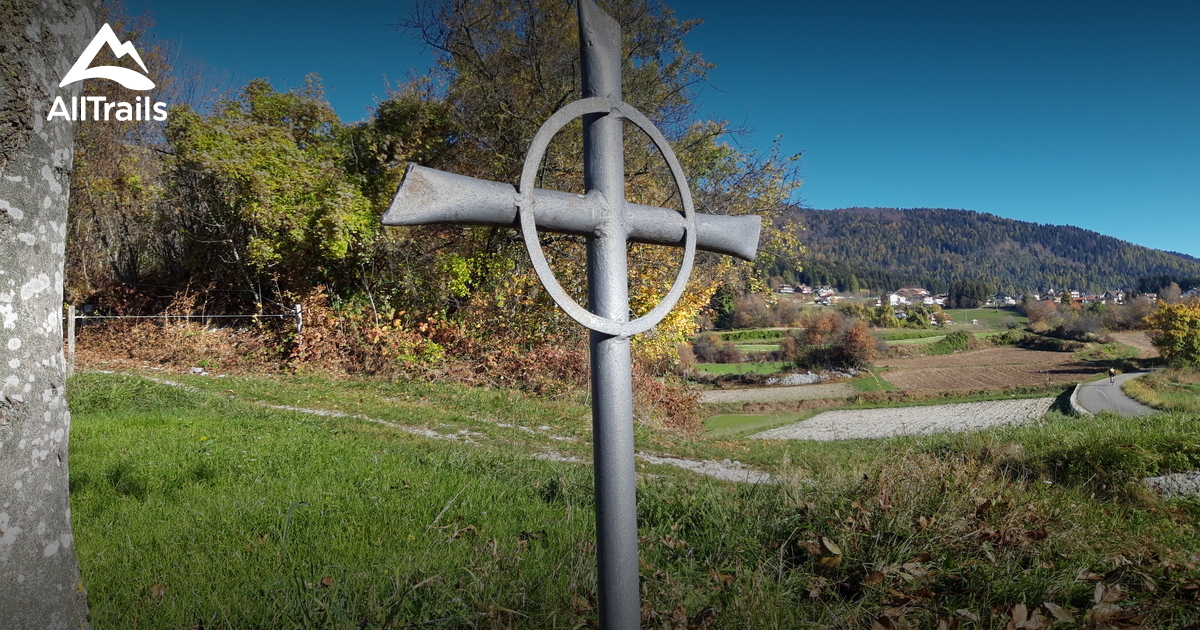 Best forest trails in Rotzo | AllTrails