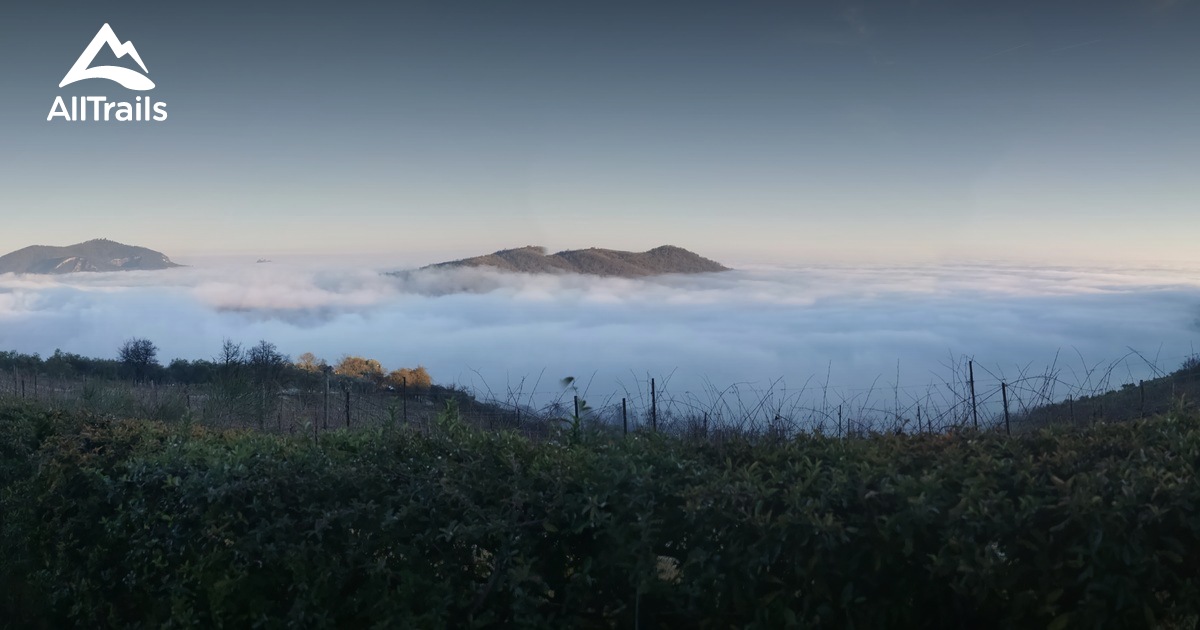 Best hikes and trails in Sant'Elena | AllTrails