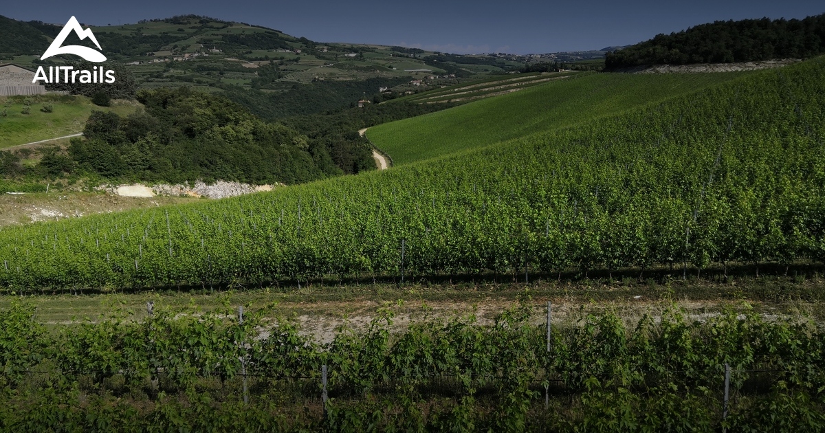 Best hikes and trails in Tregnago | AllTrails