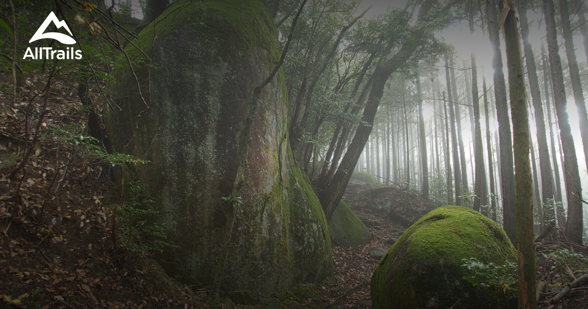 Best hikes and trails in Owase | AllTrails