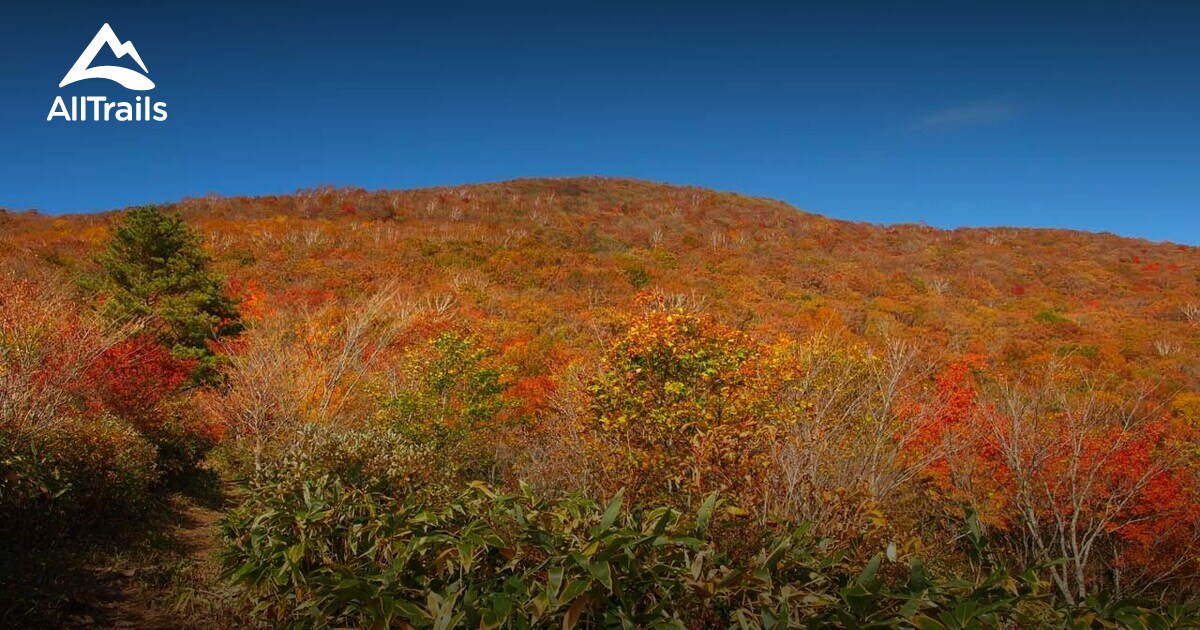 10 Best trails and hikes in Sendai | AllTrails