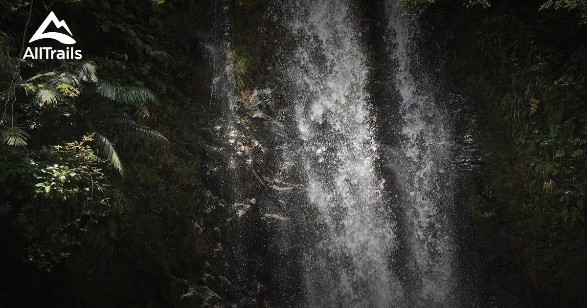 Best Trails near Kunigami, Okinawa Japan | AllTrails