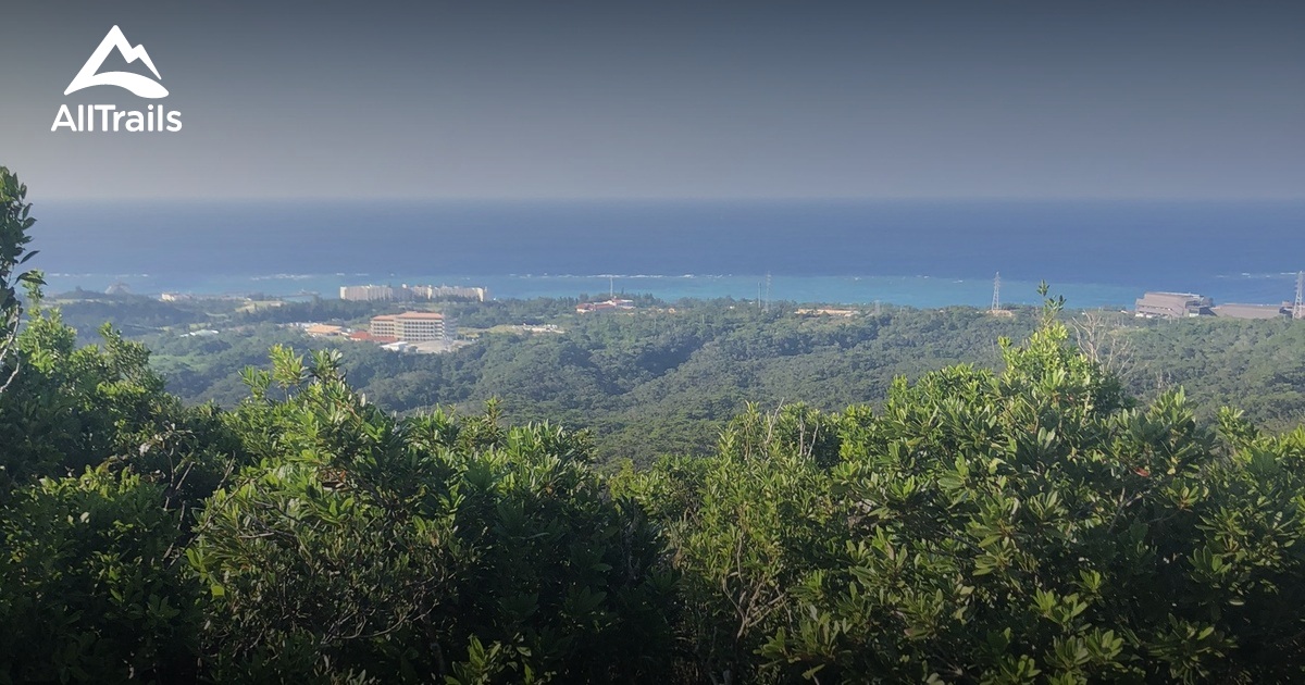 10 Best forest trails in Uruma Shi | AllTrails