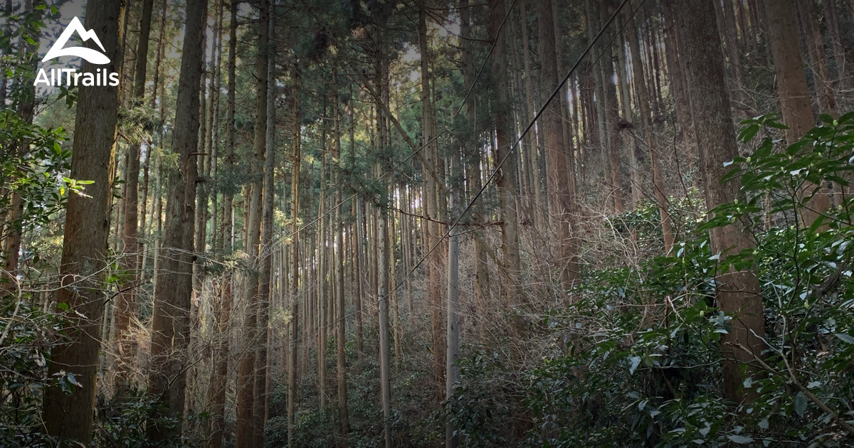 Best hikes and trails in Haga | AllTrails