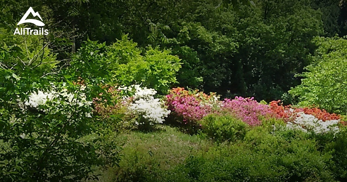 Best hikes and trails in Hashimoto | AllTrails