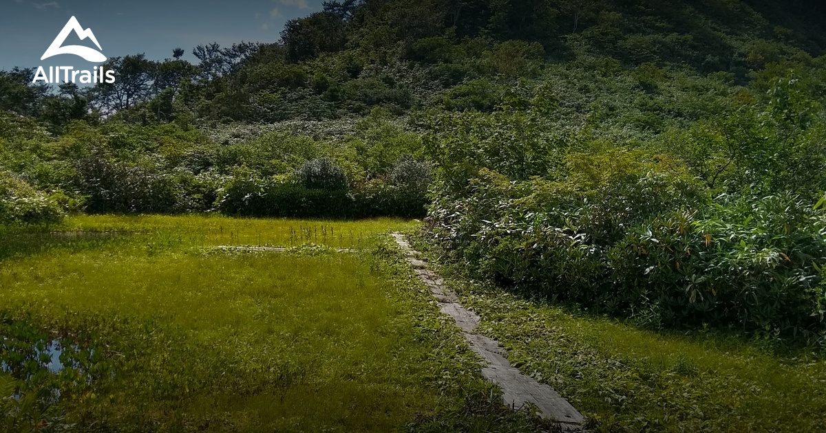 Best historic site trails in Sagae | AllTrails