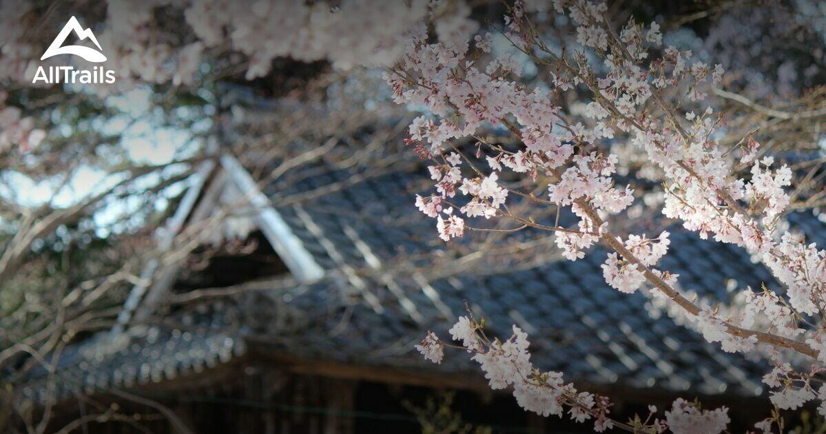 10 Best trails and hikes in Ina Shi | AllTrails