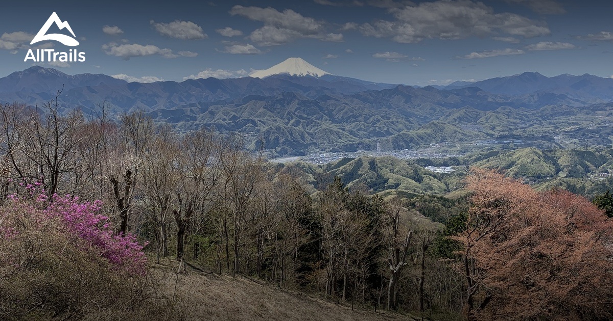 10 Best wildflower trails in Uenohara | AllTrails