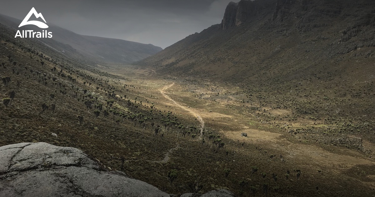Best hikes and trails in Nanyuki | AllTrails