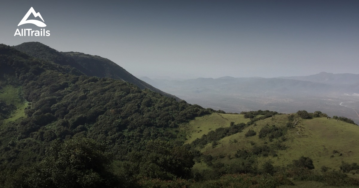 Best hikes and trails in Ngong | AllTrails