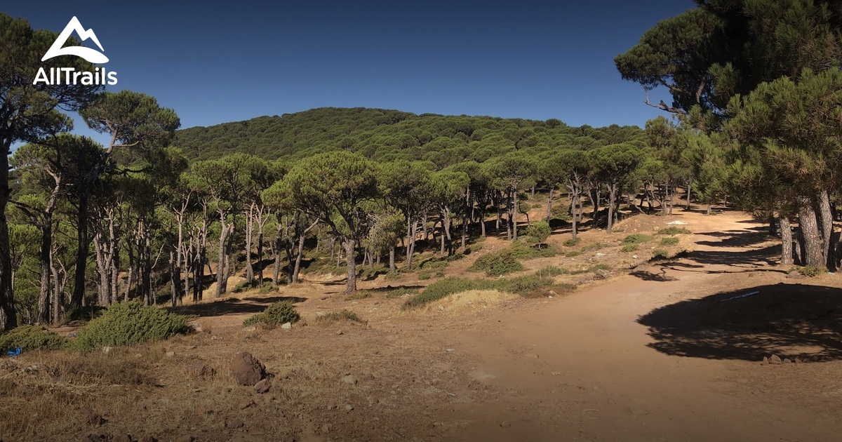 Best hikes and trails in Matn | AllTrails