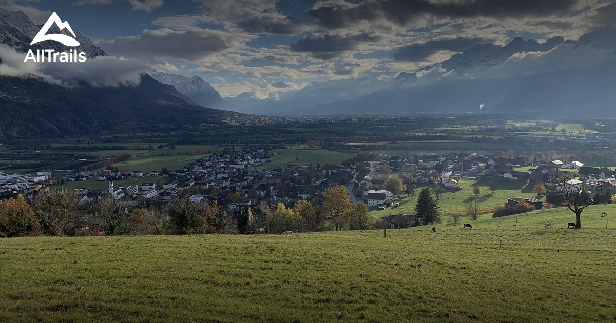 Best forest trails in Bendern | AllTrails