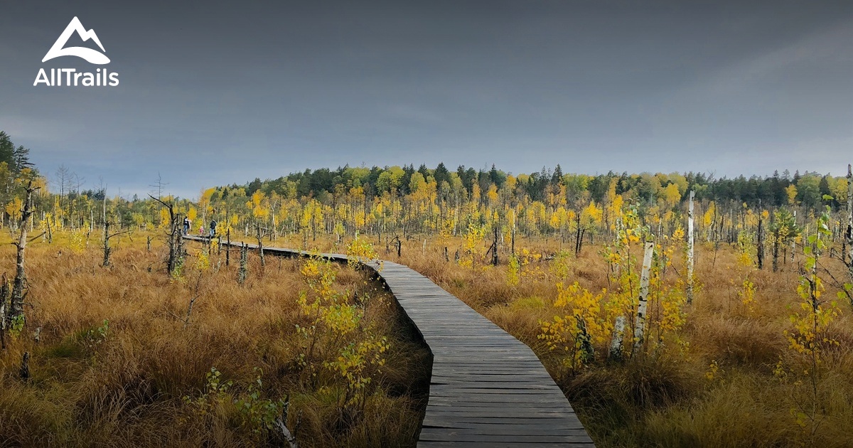 Best hikes and trails in Kaunas | AllTrails