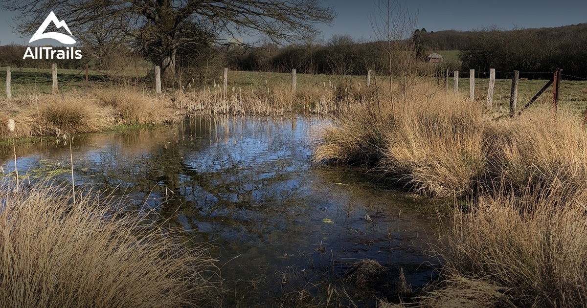 Best river trails in Bascharage | AllTrails