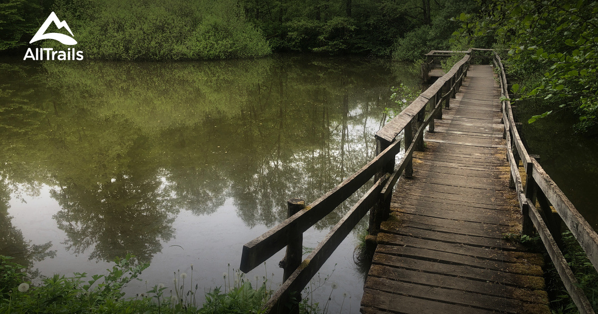 Best hikes and trails in Dippach | AllTrails