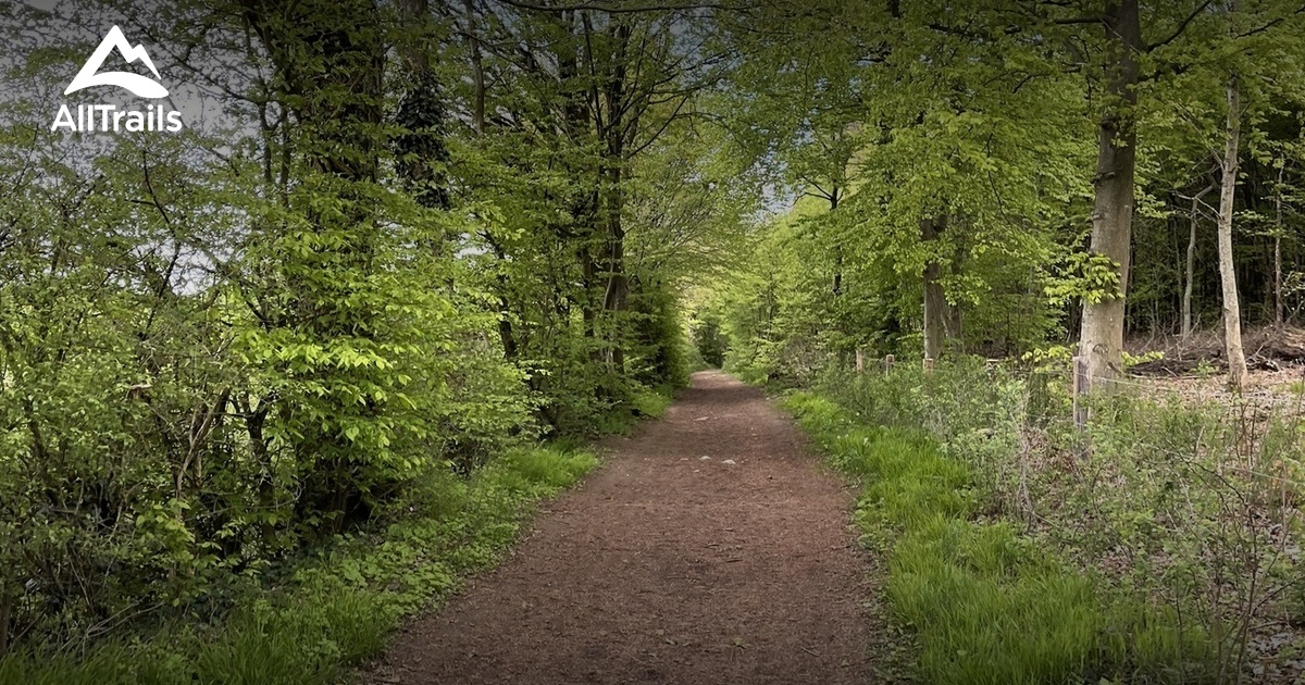 Best moderate trails in Mamer | AllTrails