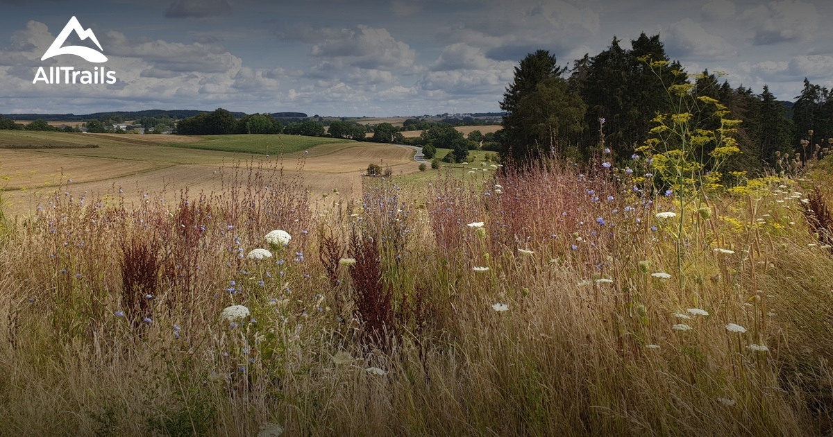 Binsfeld : les meilleures randonnées et itinéraires | AllTrails