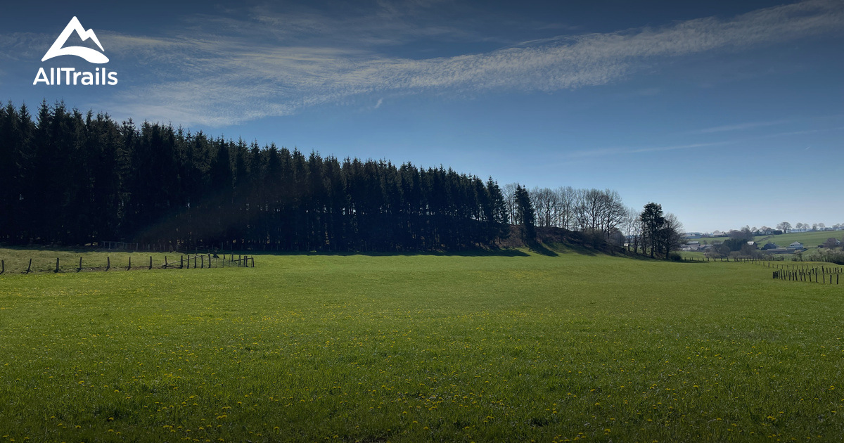 Hachiville : les meilleures randonnées et itinéraires | AllTrails