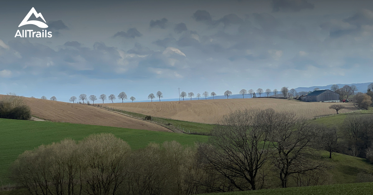 Best hikes and trails in Heinerscheid | AllTrails