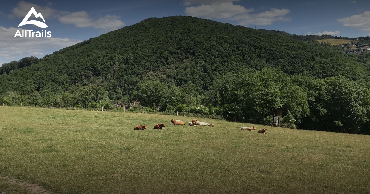 Melhores trilhos com rio em Bourscheid | AllTrails