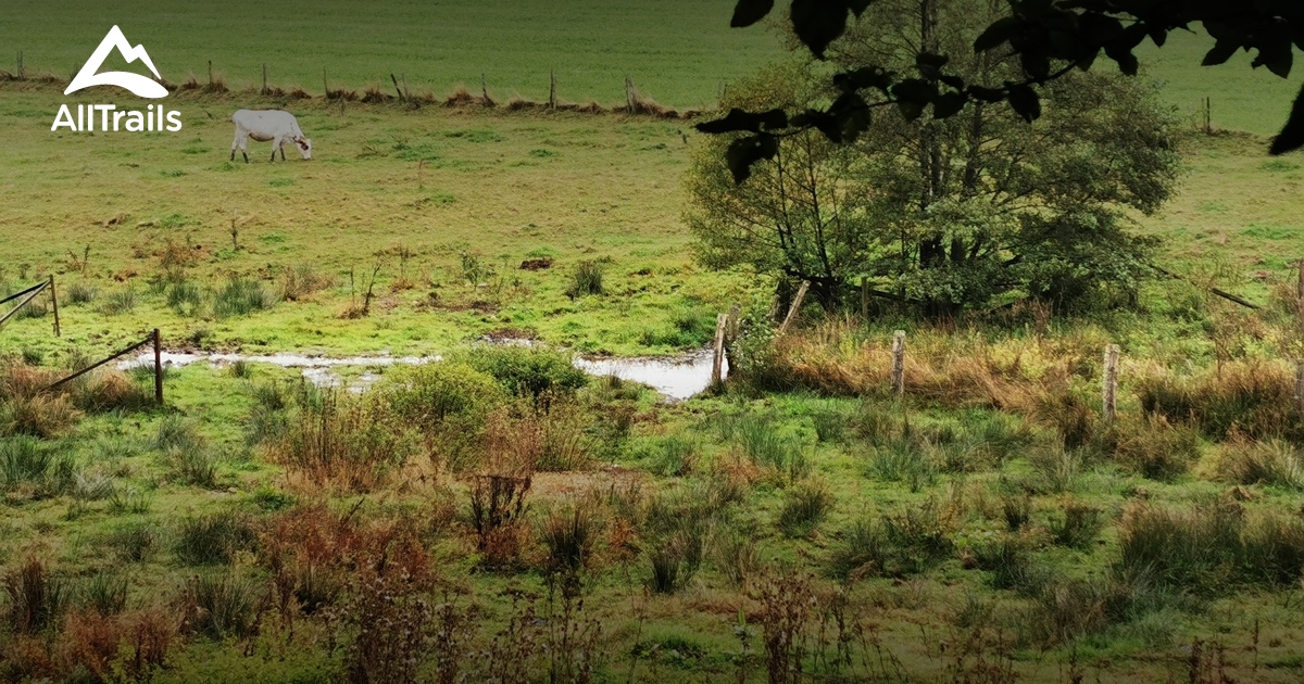 Best hikes and trails in Mertzig | AllTrails