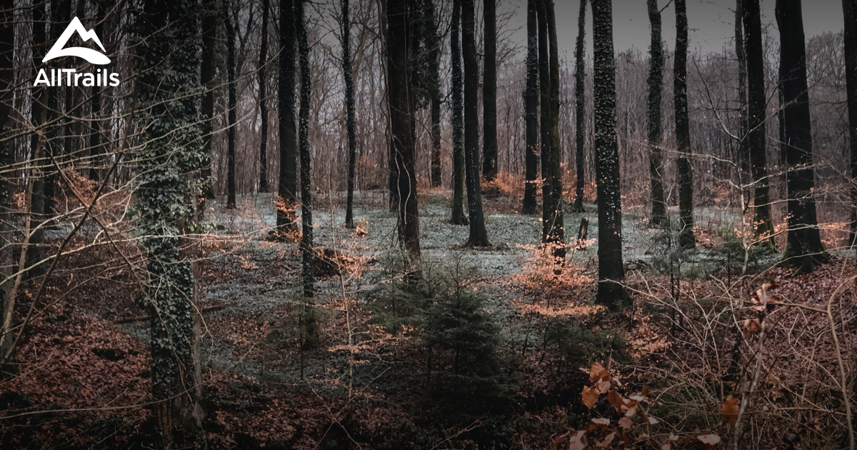 Best hikes and trails in Préizerdaul | AllTrails