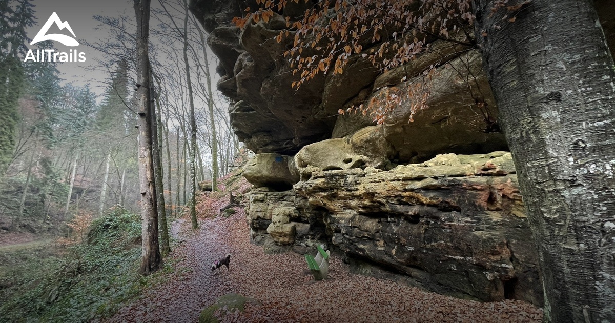 Scheidgen : les meilleures randonnées et itinéraires | AllTrails