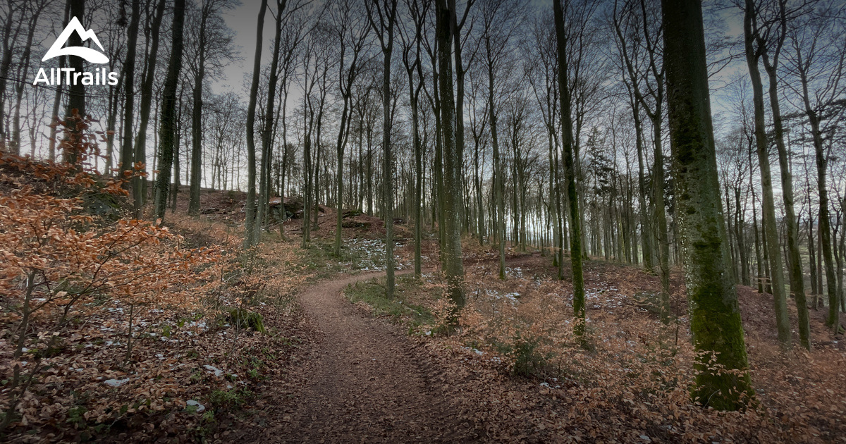 Najlepsze szlaki z kwiatami w: Bourglinster | AllTrails