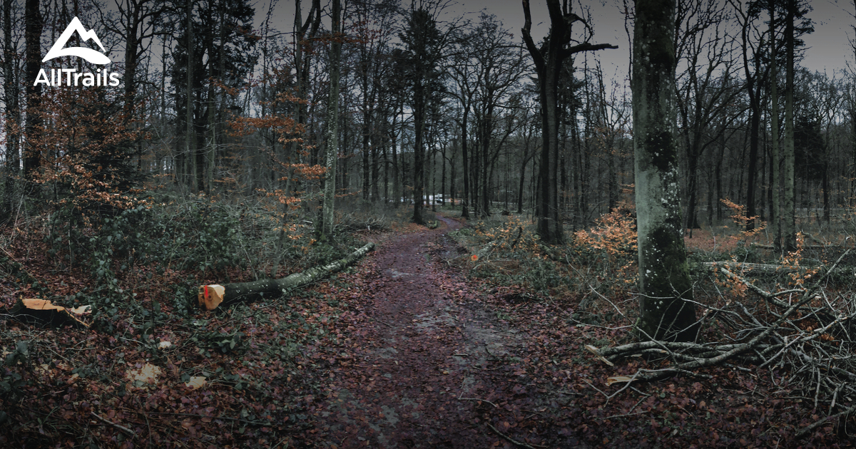 Bertrange : les meilleures randonnées et itinéraires | AllTrails