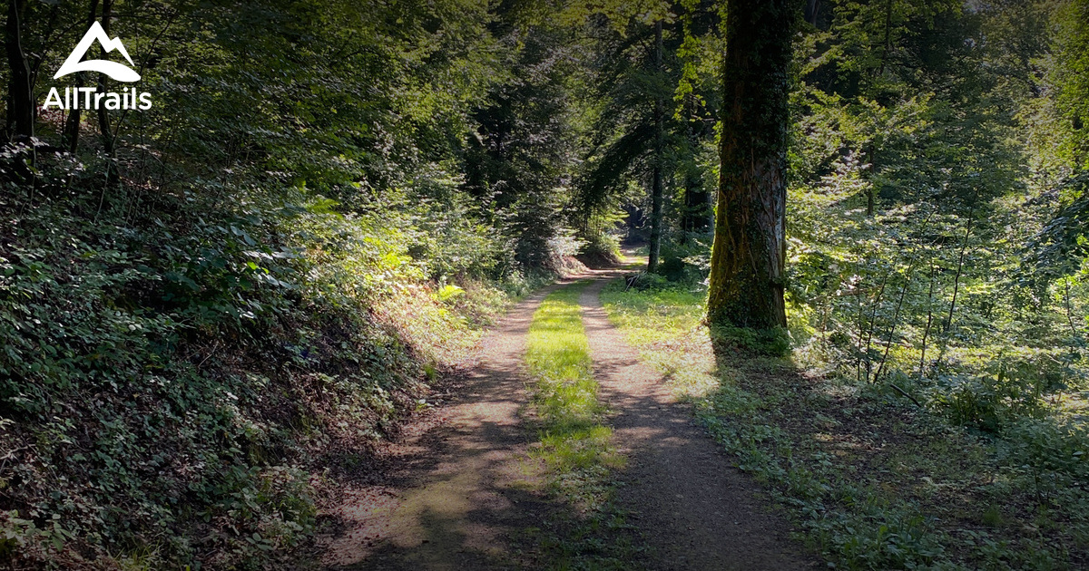 Contern : les meilleures randonnées et itinéraires | AllTrails