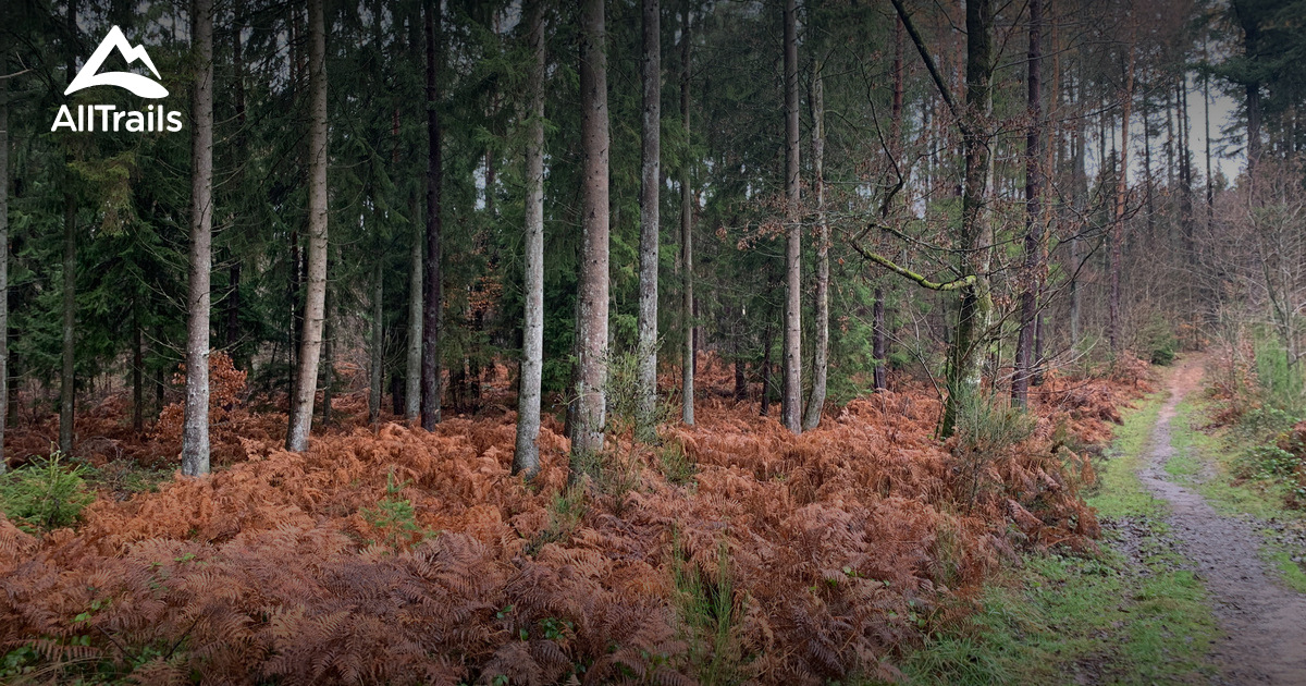 Senningerberg: Die schönsten Routen zum Wandern | AllTrails