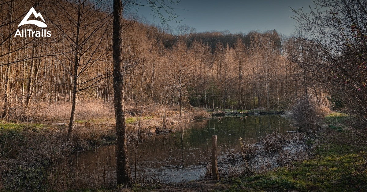 Best hikes and trails in Beringen | AllTrails