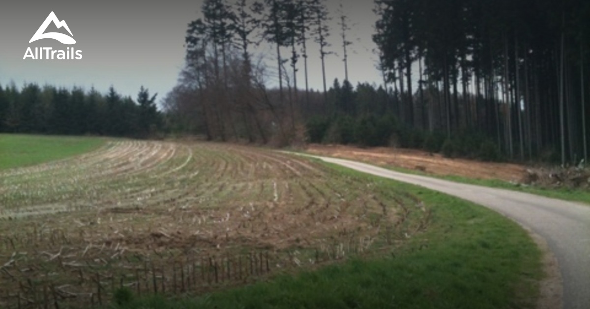 Lintgen : les 10 meilleures randonnées et itinéraires | AllTrails