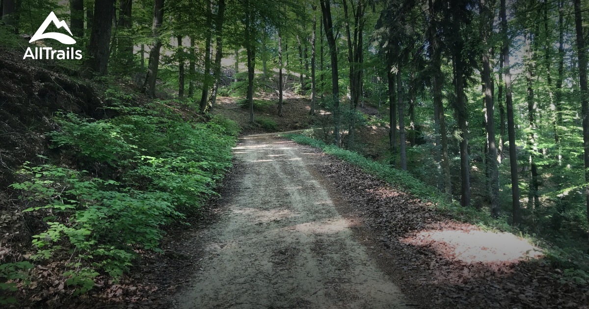 Best Hikes and Trails in Saeul | AllTrails