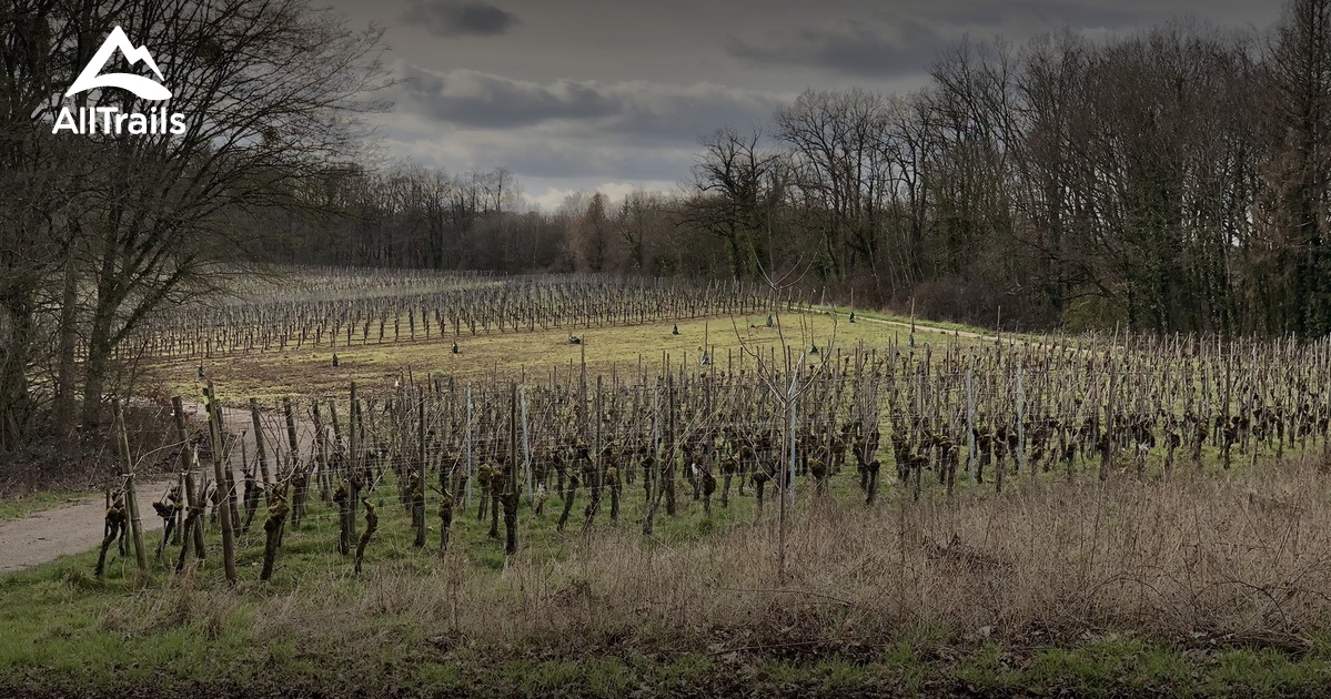 Filsdorf : les meilleures randonnées et itinéraires | AllTrails