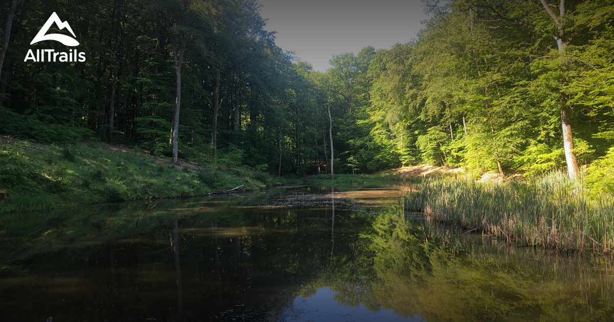 Greiveldange : les 10 meilleures randonnées et itinéraires | AllTrails
