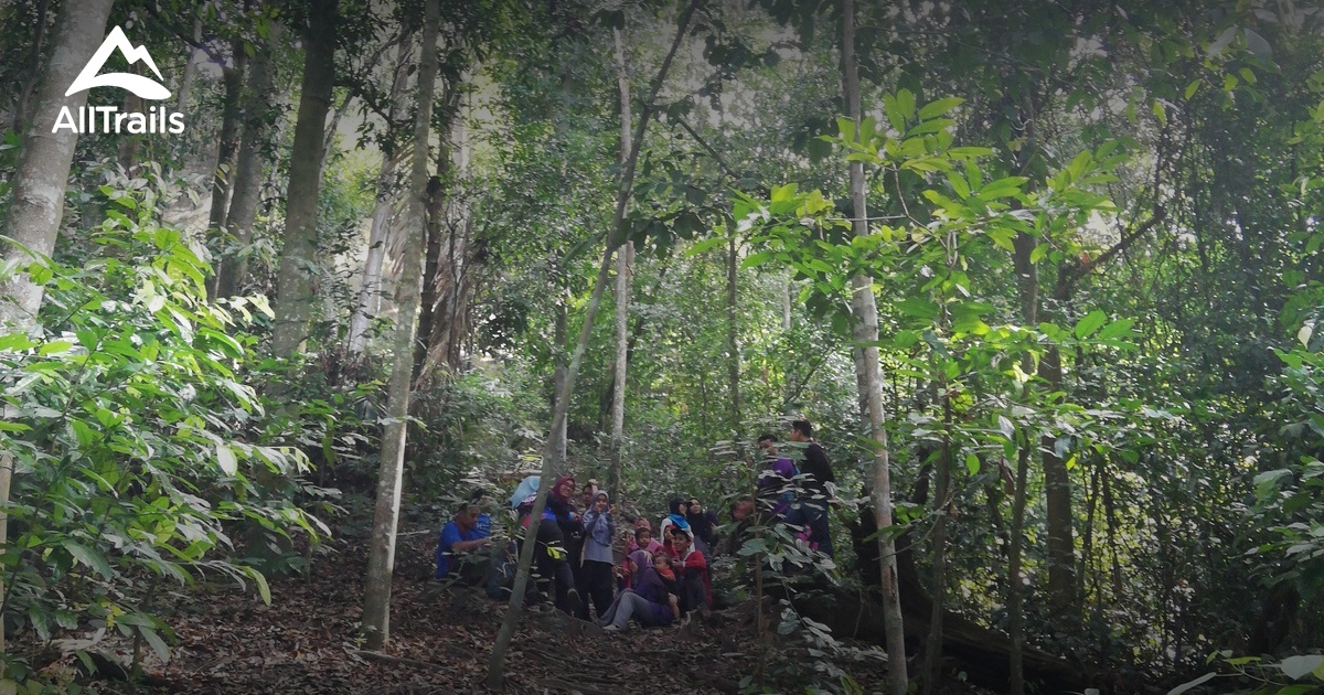 Best hikes and trails in Asahan | AllTrails