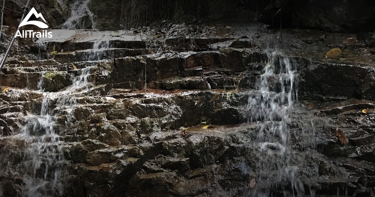 Best Trails near Batu Pahat, Johor Malaysia | AllTrails