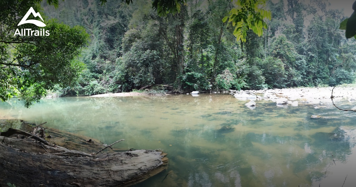 Best hikes and trails in Bekok | AllTrails