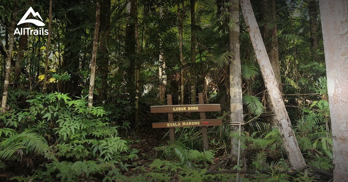 Best waterfall trails in Kahang | AllTrails