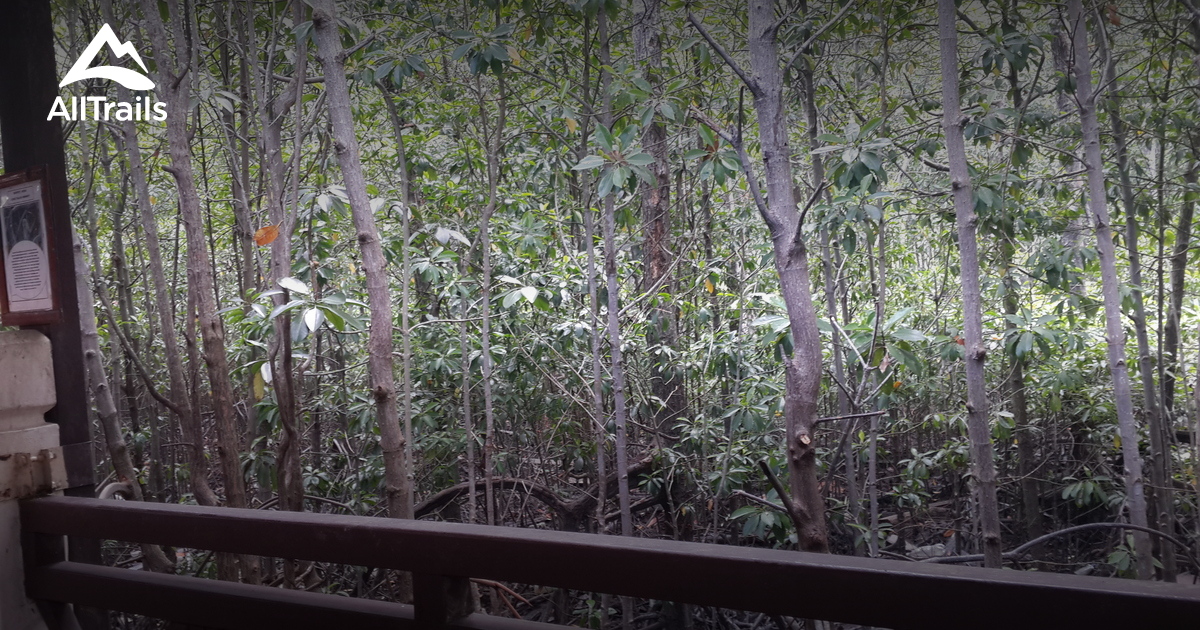 Best hikes and trails in Kukup | AllTrails